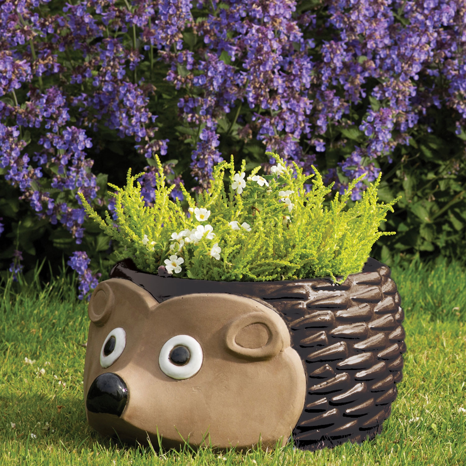 Glazed Brown Hedgehog Planter L37cm x D27cm x H18cm - GO21 - Riverhill ...