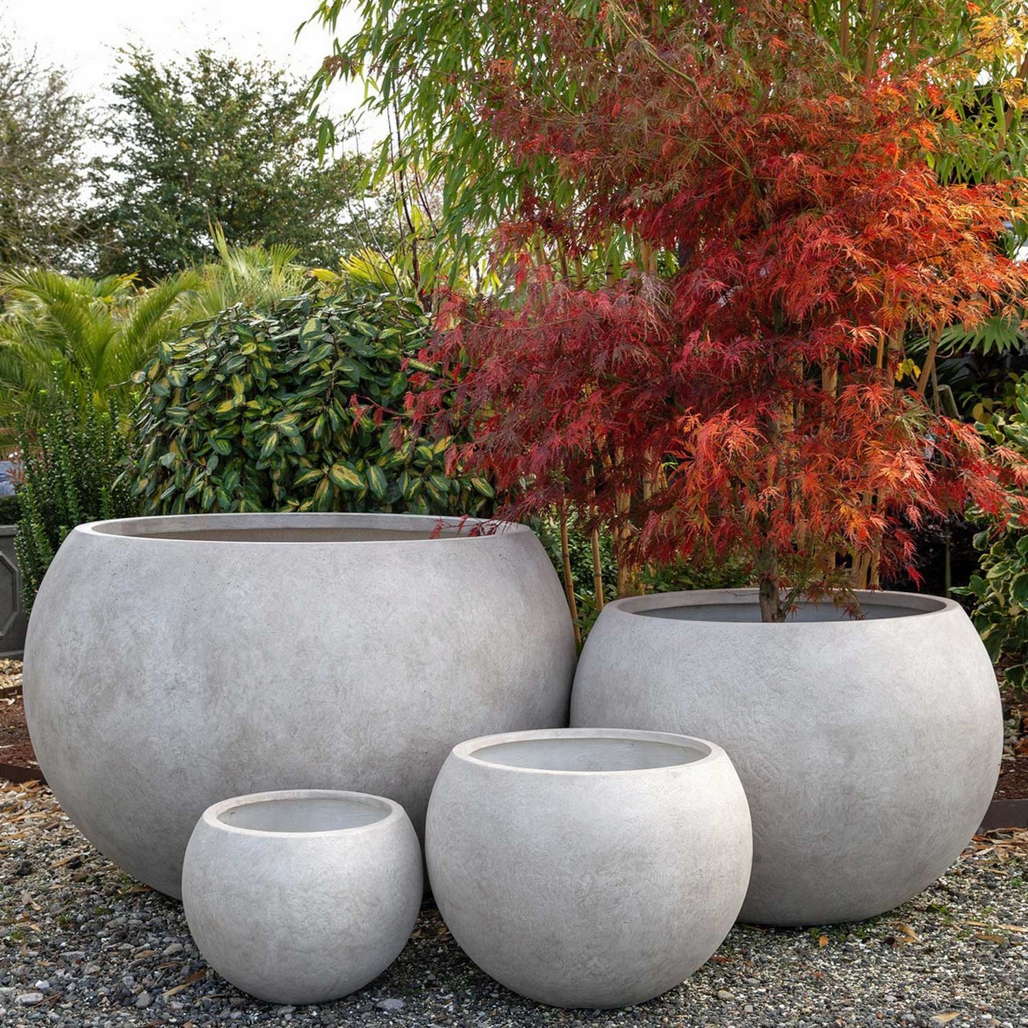 Extra Large Stonelite Round Grey White Olive Tree Planter Pot