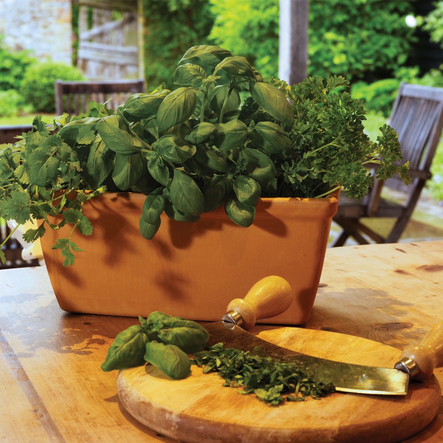 Terracotta Garden Troughs | Fasci Garden