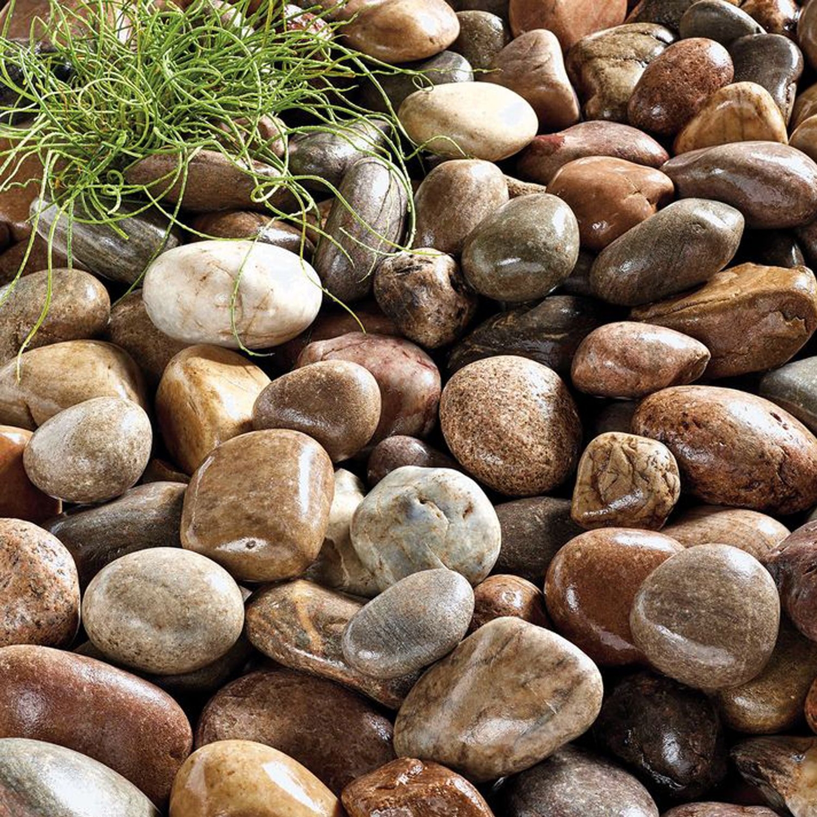 KELKAY Large Beach Cobbles 80-120mm BULK BAG - 7032 - KELKAY ...