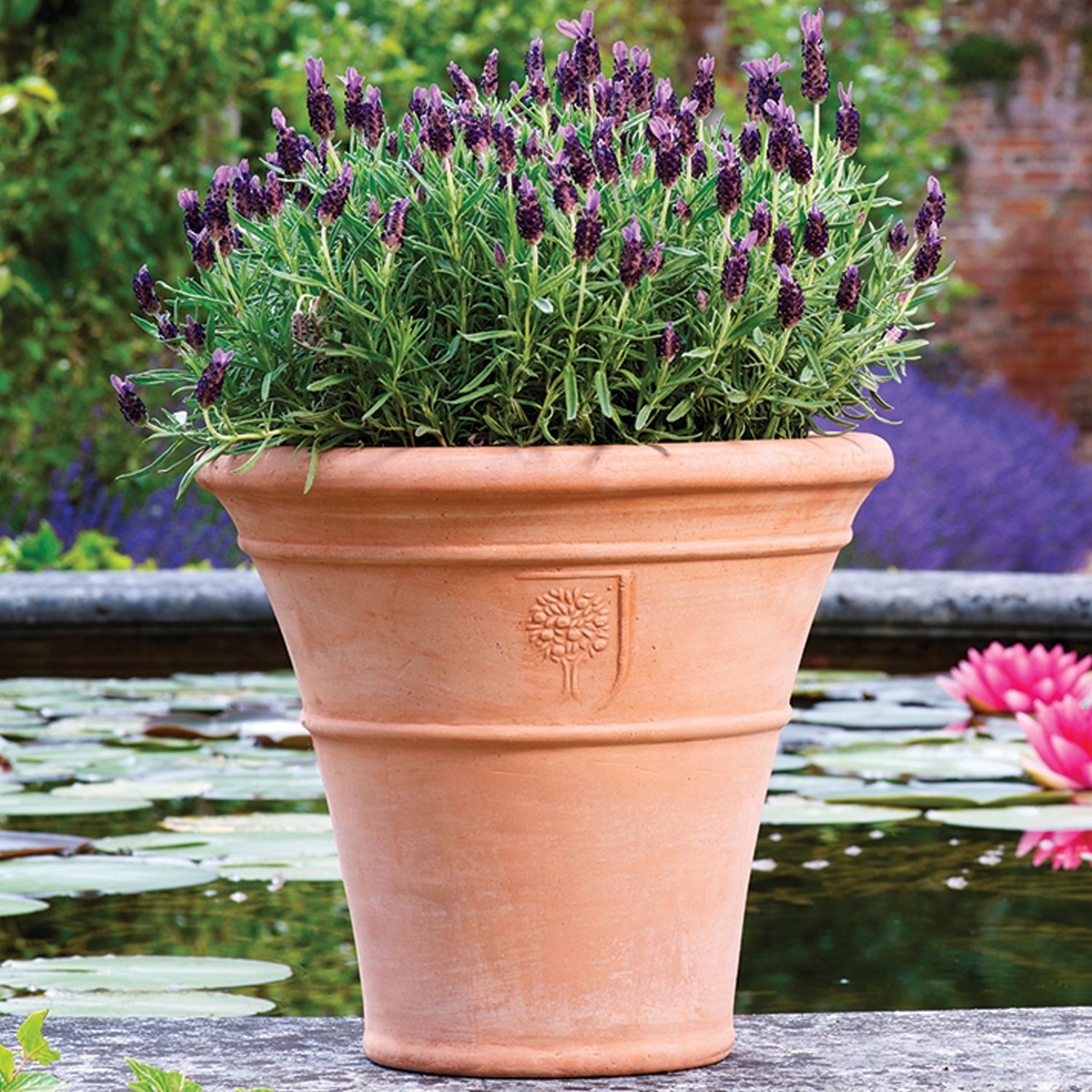 RHS Terracotta Cone (2 sizes) - TGC - Royal Horticultural Society ...